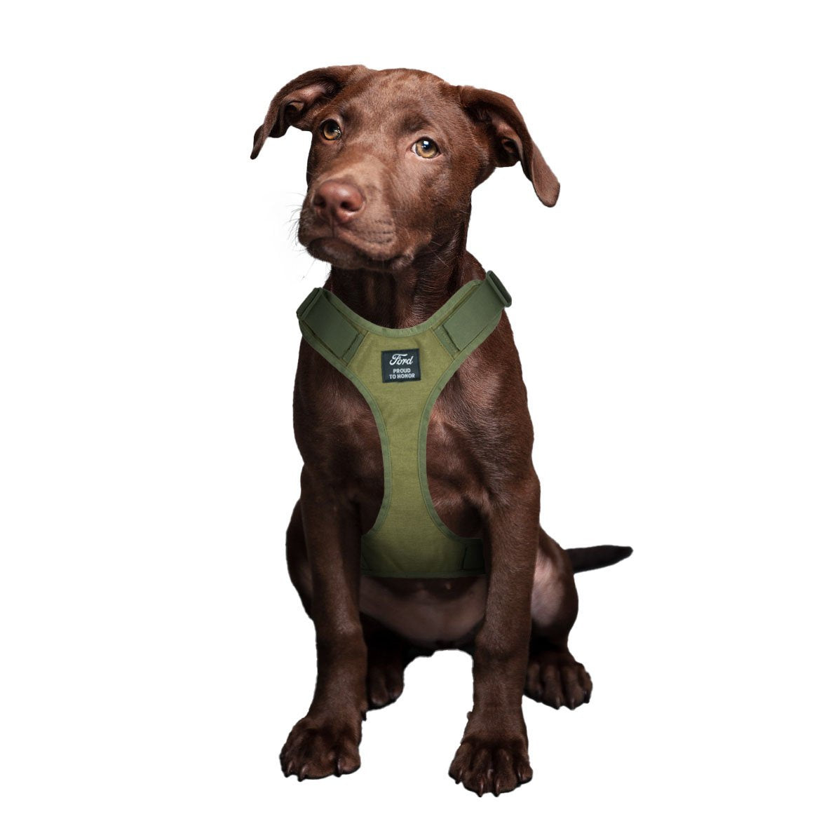 Ford Accessories – Tagged "Collections_Proud To Honor"